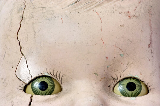 Real Severed Eyeball