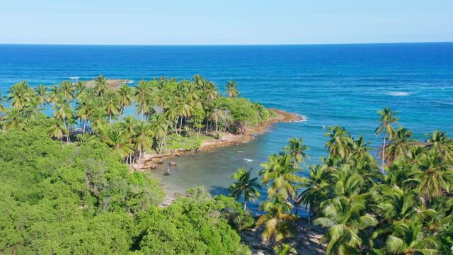 Coquito Images – Browse 440 Stock Photos, Vectors, and Video | Adobe Stock