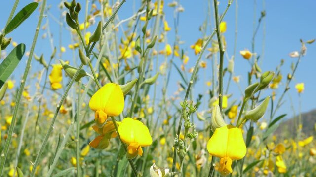 รูปภาพSunns – เลือกดูภาพถ่ายสต็อก เวกเตอร์ และวิดีโอ11,942 | Adobe Stock