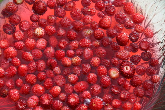 「Gele」の写真素材 | 784件の無料イラスト画像 | Adobe Stock