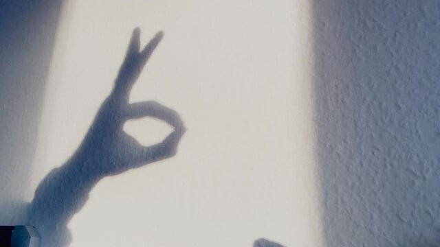 Imágenes de "Hand Shadow": descubre bancos de fotos, ilustraciones ...