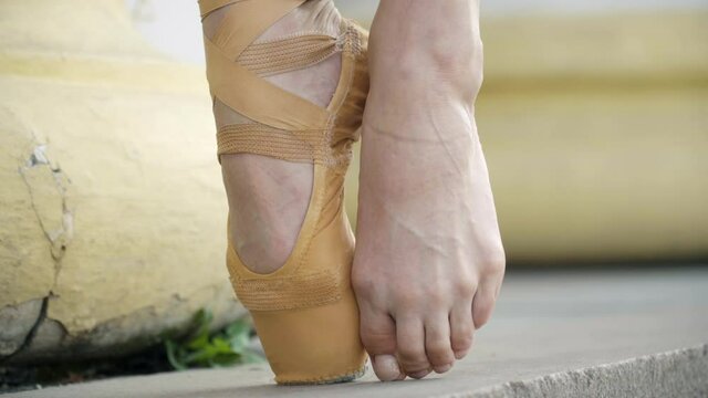 "Standing On Tiptoes" Images – Browse 55 Stock Photos, Vectors, and ...