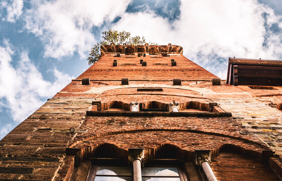 Guinigi 이미지 – 찾아보기 960 스톡 사진, 벡터 및 비디오 | Adobe Stock