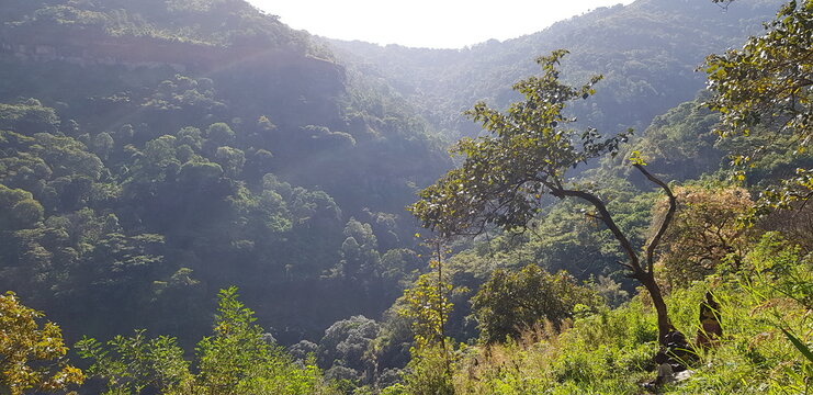 Kadam bilder – Bläddra bland 154 stockfoton, vektorer och videor ...