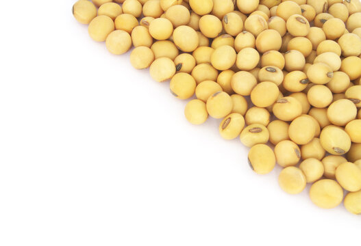 รูปภาพSoymilk – เลือกดูภาพถ่ายสต็อก เวกเตอร์ และวิดีโอ18,887 | Adobe Stock