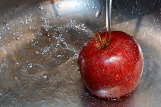 Frut Bilder – Durchsuchen 771 Archivfotos, Vektorgrafiken und Videos ...