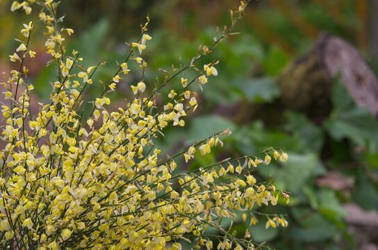 รูปภาพKrzak – เลือกดูภาพถ่ายสต็อก เวกเตอร์ และวิดีโอ2,220 | Adobe Stock