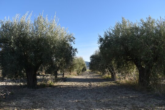 Alinea Images – Parcourir 740 le catalogue de photos, vecteurs et ...