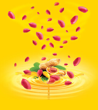 "Groundnut Oil" Bilder – Durchsuchen 1,358 Archivfotos, Vektorgrafiken ...