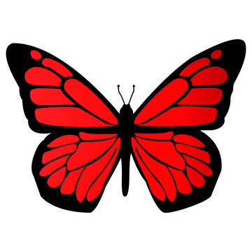 Red Butterfly Wallpaper
