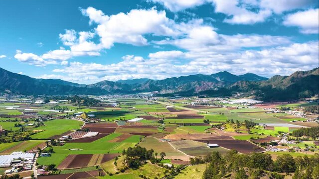 Constanza Images – Browse 574 Stock Photos, Vectors, and Video | Adobe ...