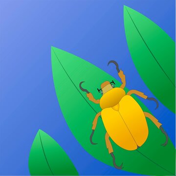 "Biology Science" Bilder – Durchsuchen 551 Archivfotos, Vektorgrafiken ...