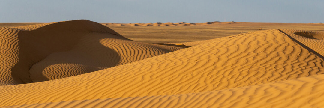「Barkhan」の画像 - 4,150 件の Stock 写真、ベクターおよびビデオ | Adobe Stock