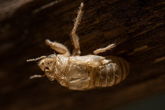 รูปภาพFalena – เลือกดูภาพถ่ายสต็อก เวกเตอร์ และวิดีโอ1,328 | Adobe Stock