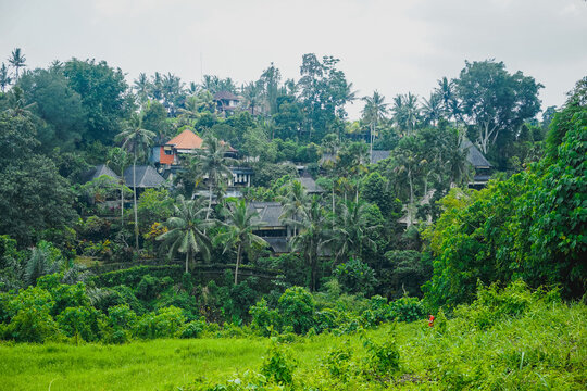 "Bali Landscape" Images – Browse 636 Stock Photos, Vectors, and Video ...