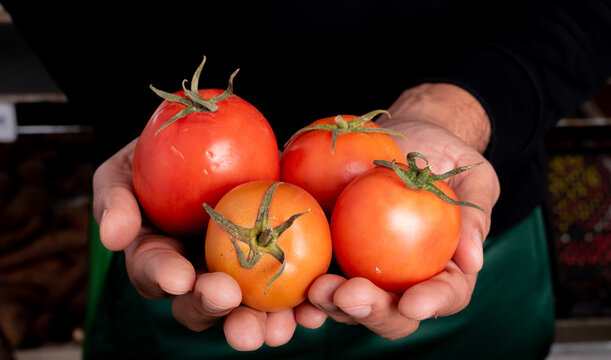 「Tommates」の写真素材 | 2件の無料イラスト画像 | Adobe Stock