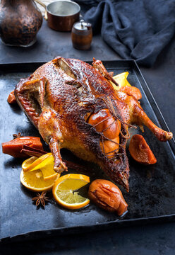 Mastgans bilder – Bläddra bland 151 stockfoton, vektorer och videor ...