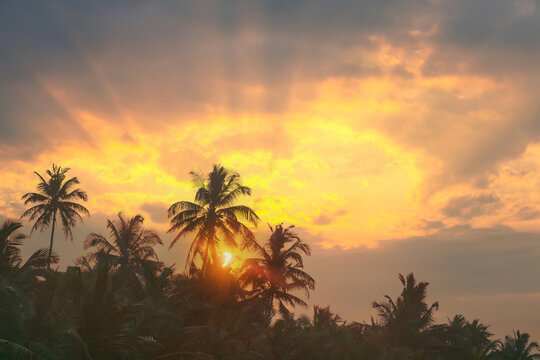 รูปภาพ"Sun Rays Through Clouds" – เลือกดูภาพถ่ายสต็อก เวกเตอร์ และ ...