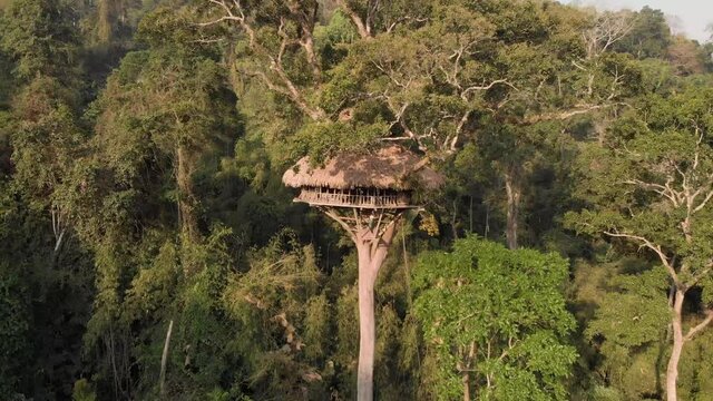 Tree House In Laos