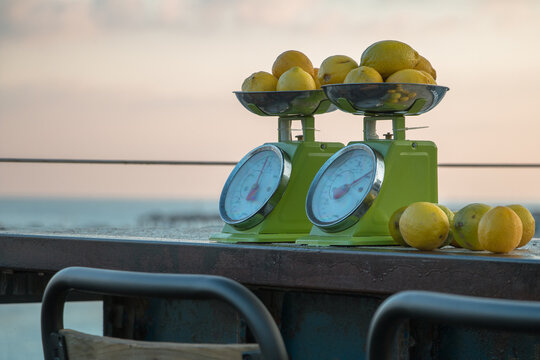 「Wagge」の写真素材 | 14件の無料イラスト画像 | Adobe Stock