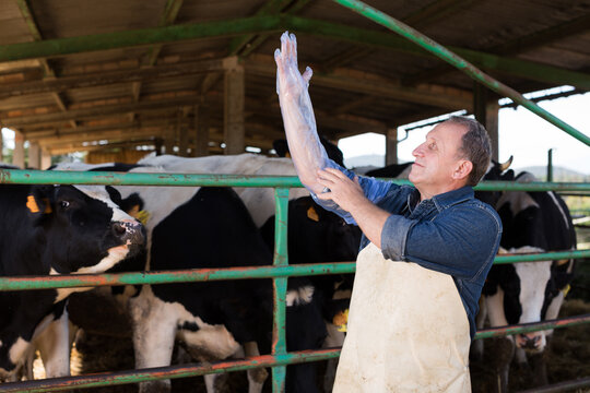 Inseminator bilder – Bläddra bland 142 stockfoton, vektorer och videor ...