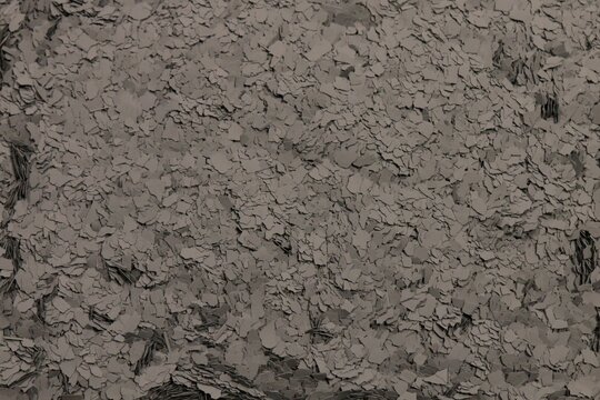 Fs6 Images – Browse 4 Stock Photos, Vectors, and Video | Adobe Stock