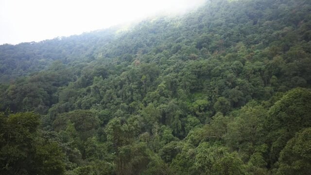 Obrazy (Sahyadri) — zdjęcia, wektory i wideo bez tantiem (771) | Adobe ...