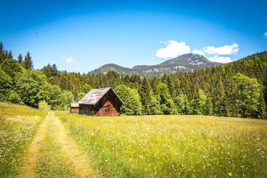 Badaussee Bilder – Durchsuchen 848 Archivfotos, Vektorgrafiken und Videos | Adobe Stock