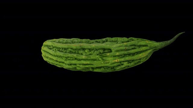 Ampalaya Images – Browse 215 Stock Photos, Vectors, and Video | Adobe Stock