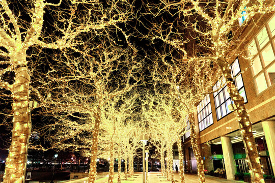 Brookfield Images – Browse 359 Stock Photos, Vectors, and Video | Adobe ...