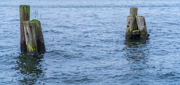 「Dalben」の画像 - 554 件の Stock 写真、ベクターおよびビデオ | Adobe Stock