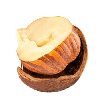 Filber bilder – Bläddra bland 80 stockfoton, vektorer och videor ...