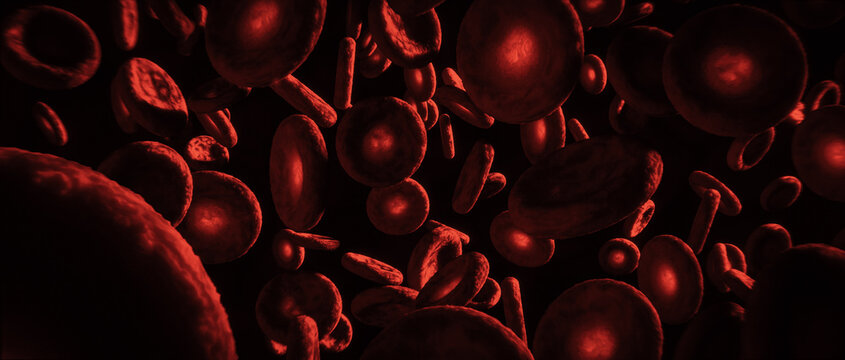 รูปภาพErythrozyt – เลือกดูภาพถ่ายสต็อก เวกเตอร์ และวิดีโอ111 | Adobe Stock