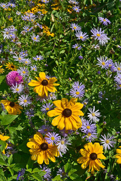 "Flower Boder" Images – Browse 9 Stock Photos, Vectors, and Video ...