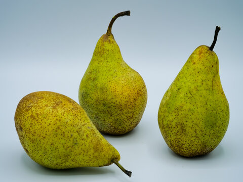 「Butzen」の画像 - 155 件の Stock 写真、ベクターおよびビデオ | Adobe Stock