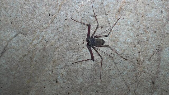 รูปภาพEkelig – เลือกดูภาพถ่ายสต็อก เวกเตอร์ และวิดีโอ1,880 | Adobe Stock