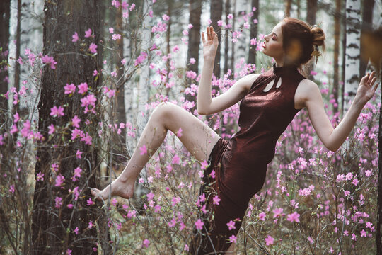 รูปภาพJapanese-Style – เลือกดูภาพถ่ายสต็อก เวกเตอร์ และวิดีโอ5,705 ...