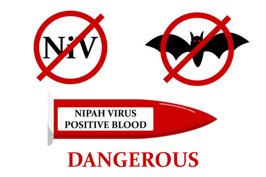 รูปภาพNiv – เลือกดูภาพถ่ายสต็อก เวกเตอร์ และวิดีโอ341 | Adobe Stock