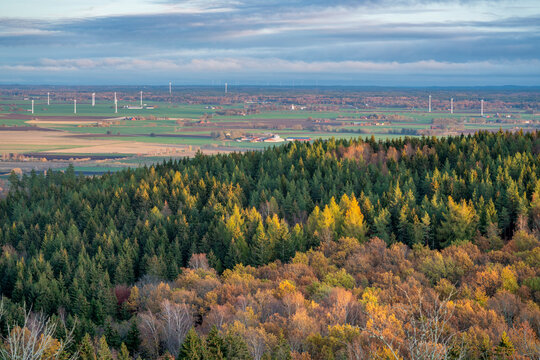 Omberg Images – Browse 128 Stock Photos, Vectors, and Video | Adobe Stock