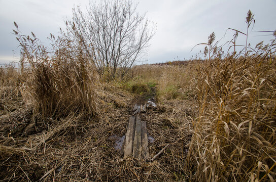 Volgo-Balt Imagens – Procure 41 fotos, vetores e vídeos | Adobe Stock