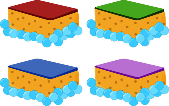 Afbeeldingen over "Sponge Icon" – Blader in stockfoto's, vectoren en ...