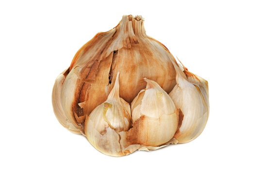 รูปภาพKnolle – เลือกดูภาพถ่ายสต็อก เวกเตอร์ และวิดีโอ9,816 | Adobe Stock