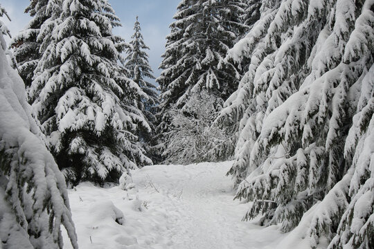 Eisbruch Bilder – Durchsuchen 923 Archivfotos, Vektorgrafiken und ...