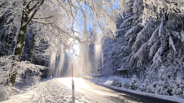 Leide Images – Browse 19 Stock Photos, Vectors, and Video | Adobe Stock