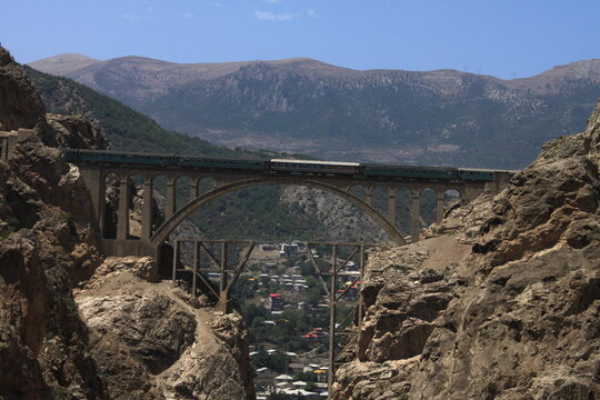 Veresk Images – Browse 84 Stock Photos, Vectors, and Video | Adobe Stock