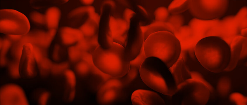 รูปภาพBluter – เลือกดูภาพถ่ายสต็อก เวกเตอร์ และวิดีโอ139 | Adobe Stock