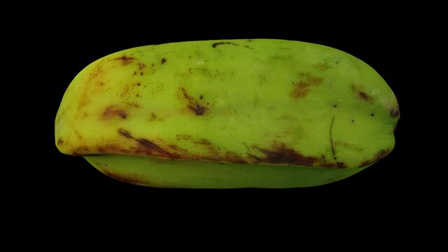 Cardava Images – Browse 41 Stock Photos, Vectors, and Video | Adobe Stock