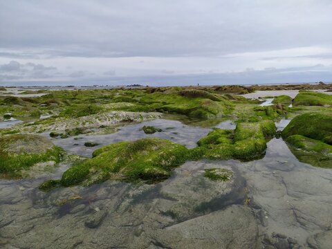 Basse-Bretagne Images – Browse 155 Stock Photos, Vectors, and Video ...