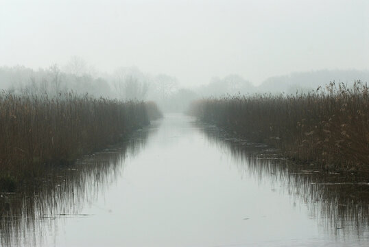 รูปภาพMistig – เลือกดูภาพถ่ายสต็อก เวกเตอร์ และวิดีโอ77 | Adobe Stock