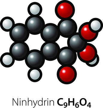 「Ninhydrin」の写真素材 | 23件の無料イラスト画像 | Adobe Stock